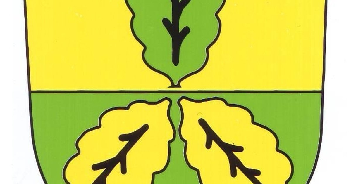 Bürgerversammlung nach § 8a der Hessischen Gemeindeordnung | Gemeinde ...